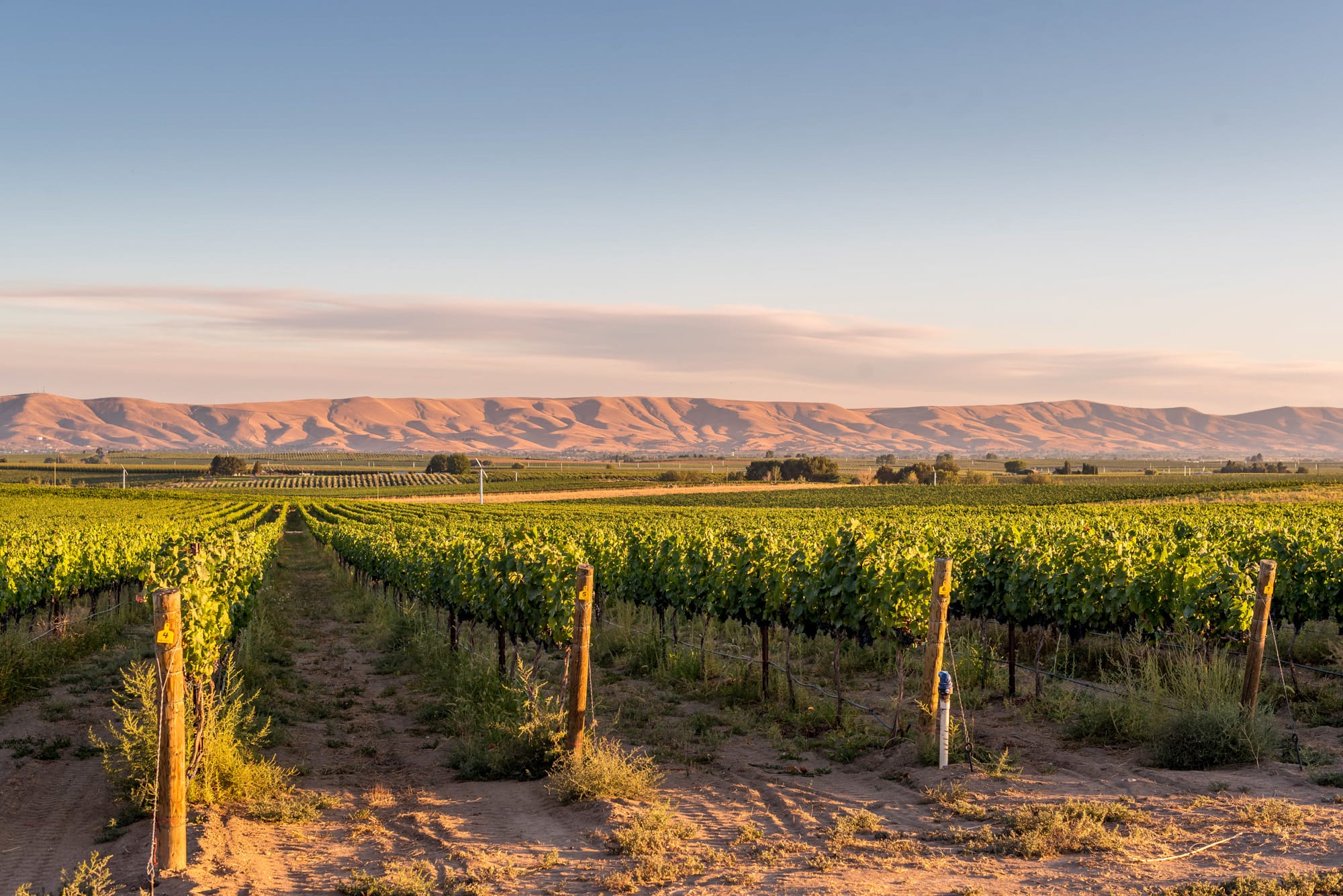 Visit Prosser | Explore Wineries, Events & Outdoor Adventures